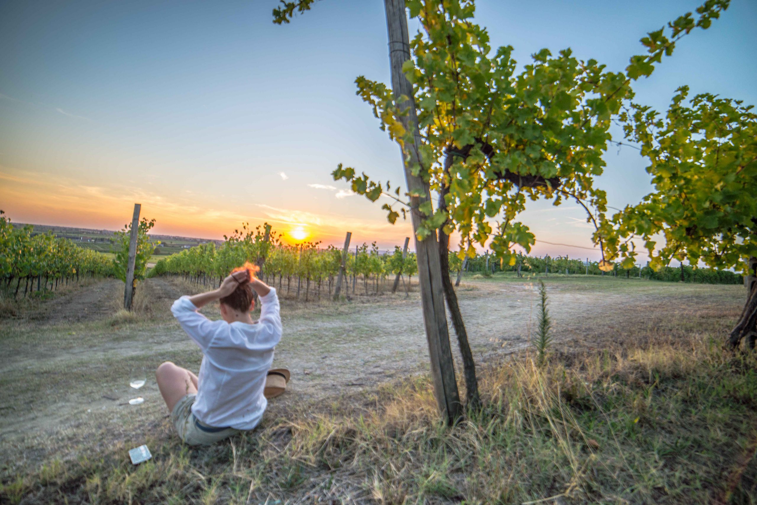 Colli Euganei, un weekend dedicato al Serprino - Venezia & dintorni